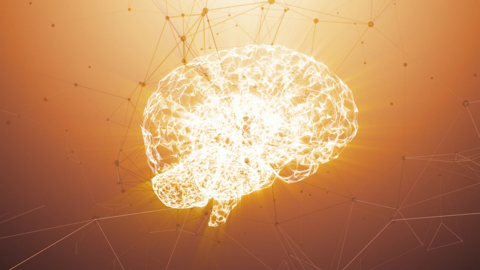A Simple Guide to Key Decision-Making Using Your Gut Feeling